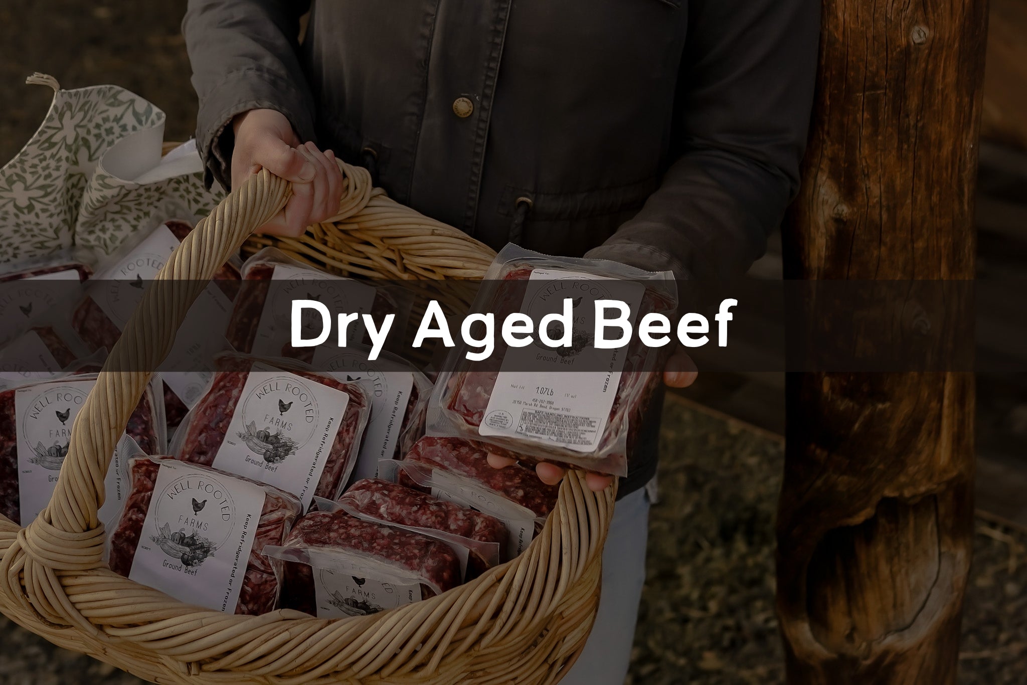 Dry Aged Beef – Well Rooted Farms