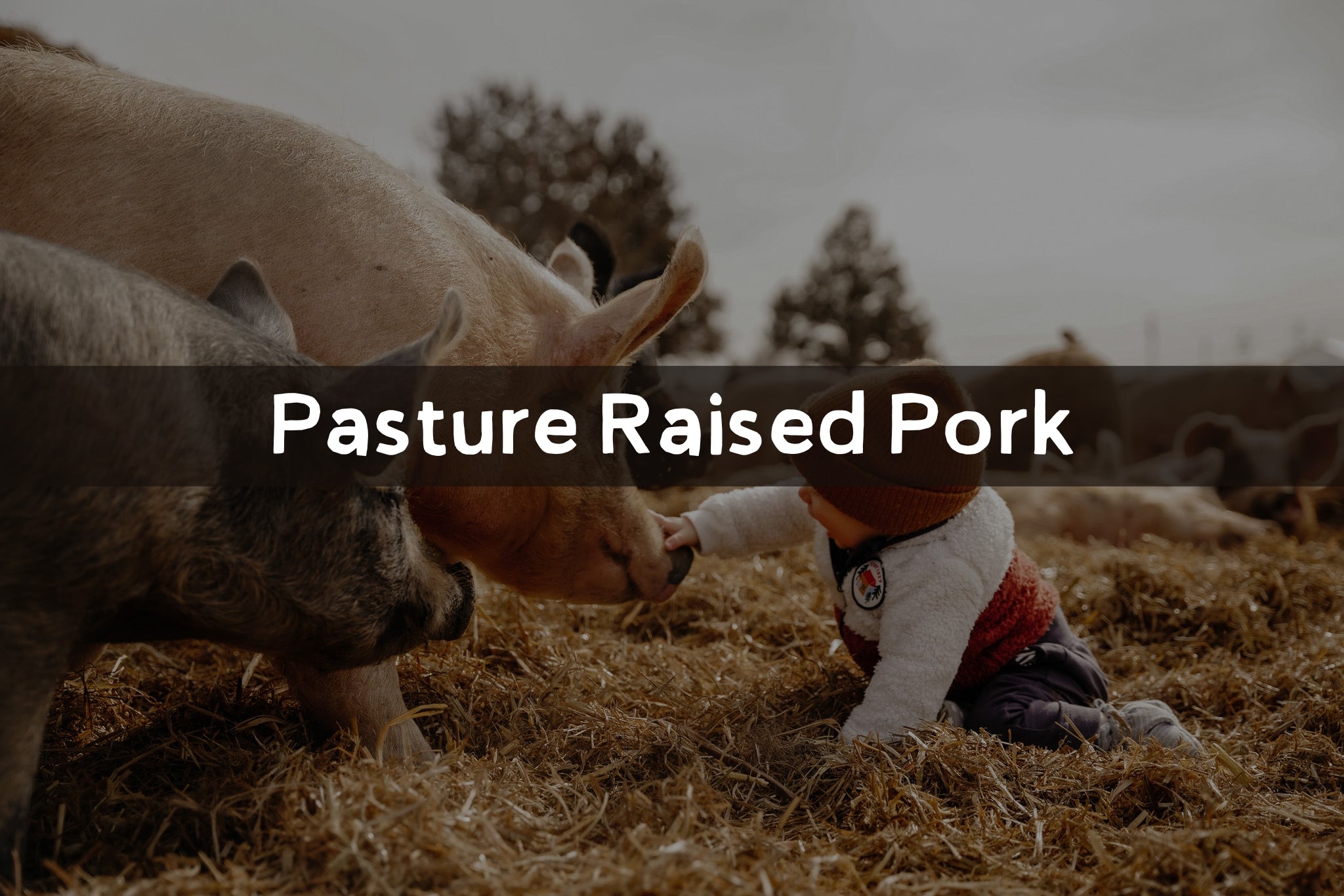 Pasture Raised Pork – Well Rooted Farms